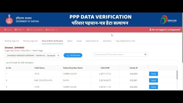Understanding PPP Data Verification